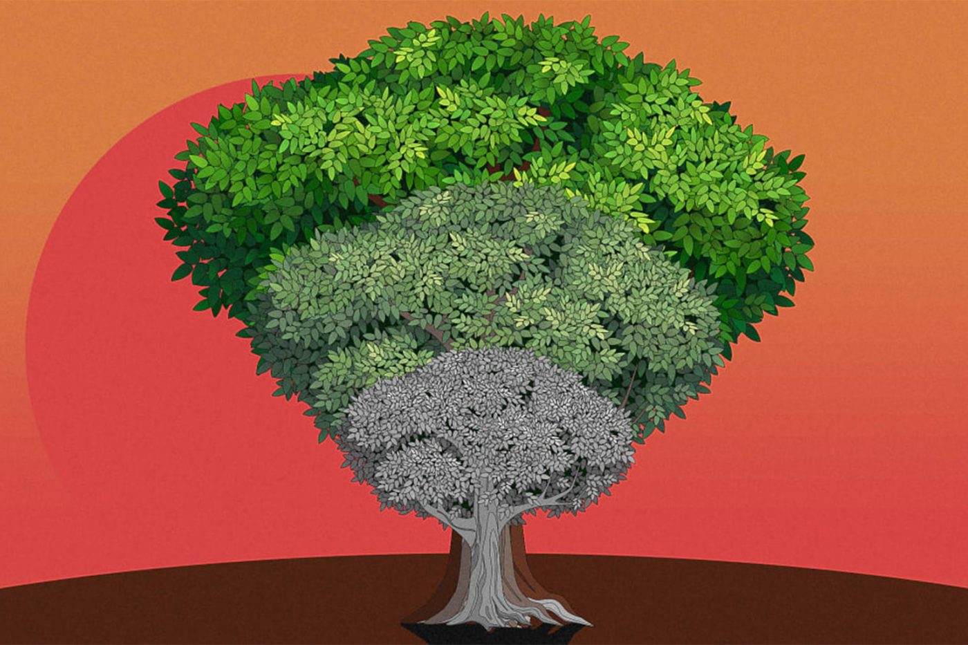 Another consequence of climate change: dinky little trees - Designyatra