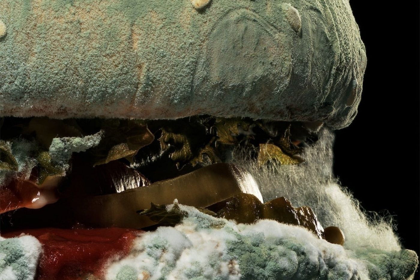 The Moldy Whopper wins big at Epica 2020 - Designyatra